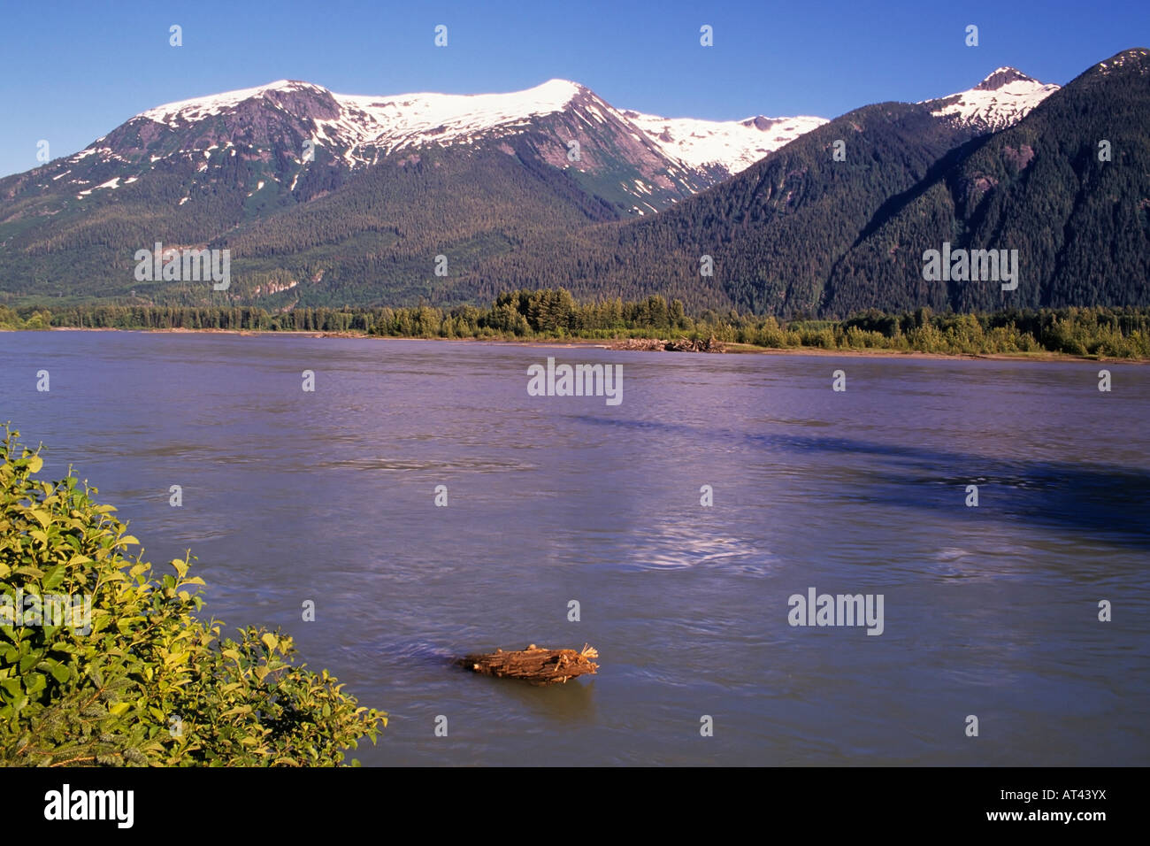 Lower Skeena river between Terrace and Prince Rupert British Columbia ...