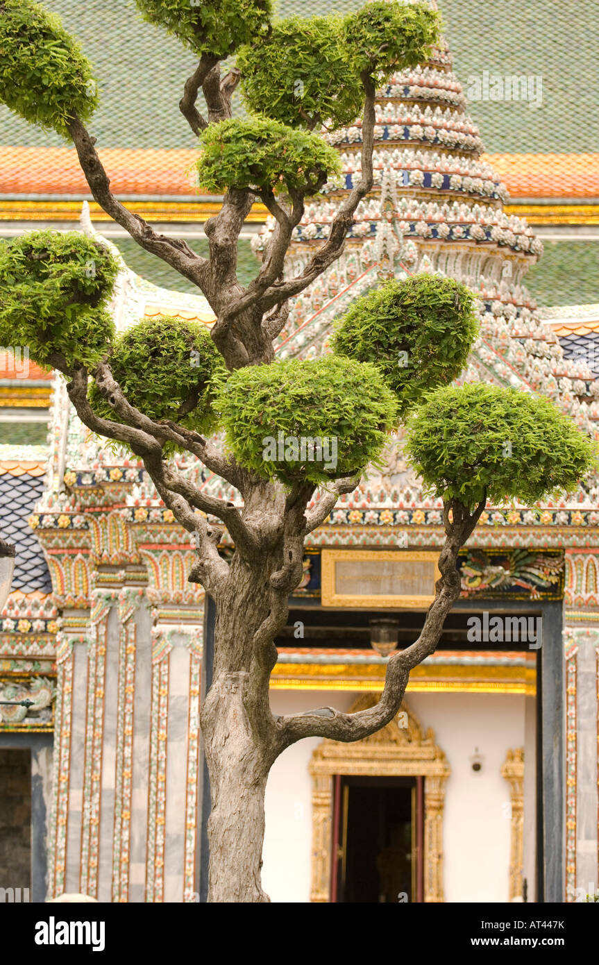 A decorative tree in front of colorful tile roofs on the grounds of the ...