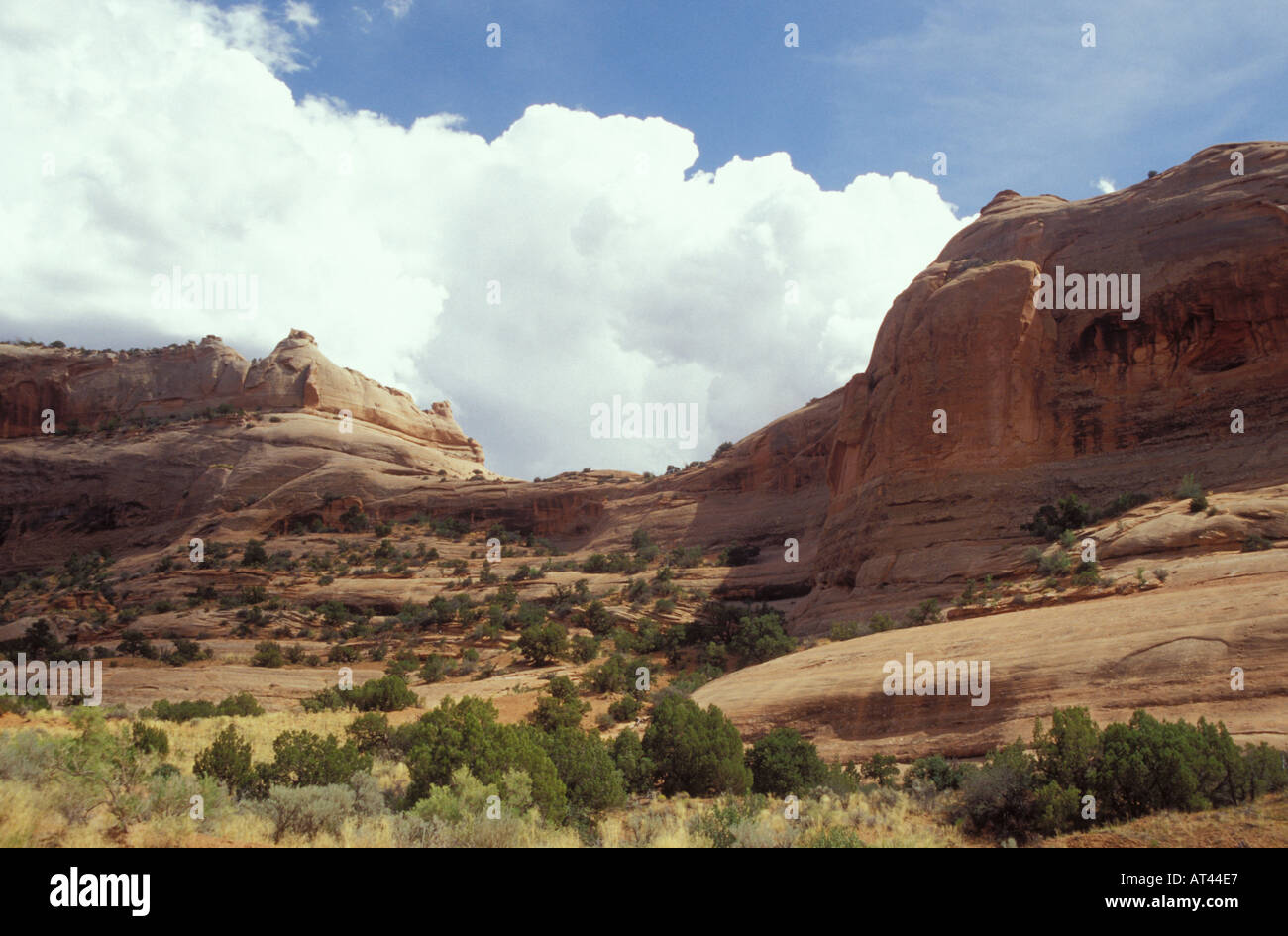 AJ21189, Moab, UT, Utah Stock Photo - Alamy