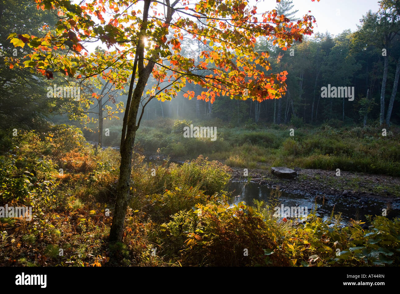 Early fall on the Isinglass River in Strafford, New Hampshire Stock ...