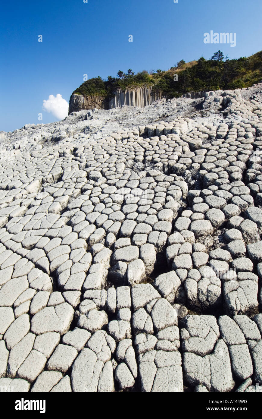 Volcanic rock formations at Stolbchaty Cape on Kunashir Island in Kuril ...