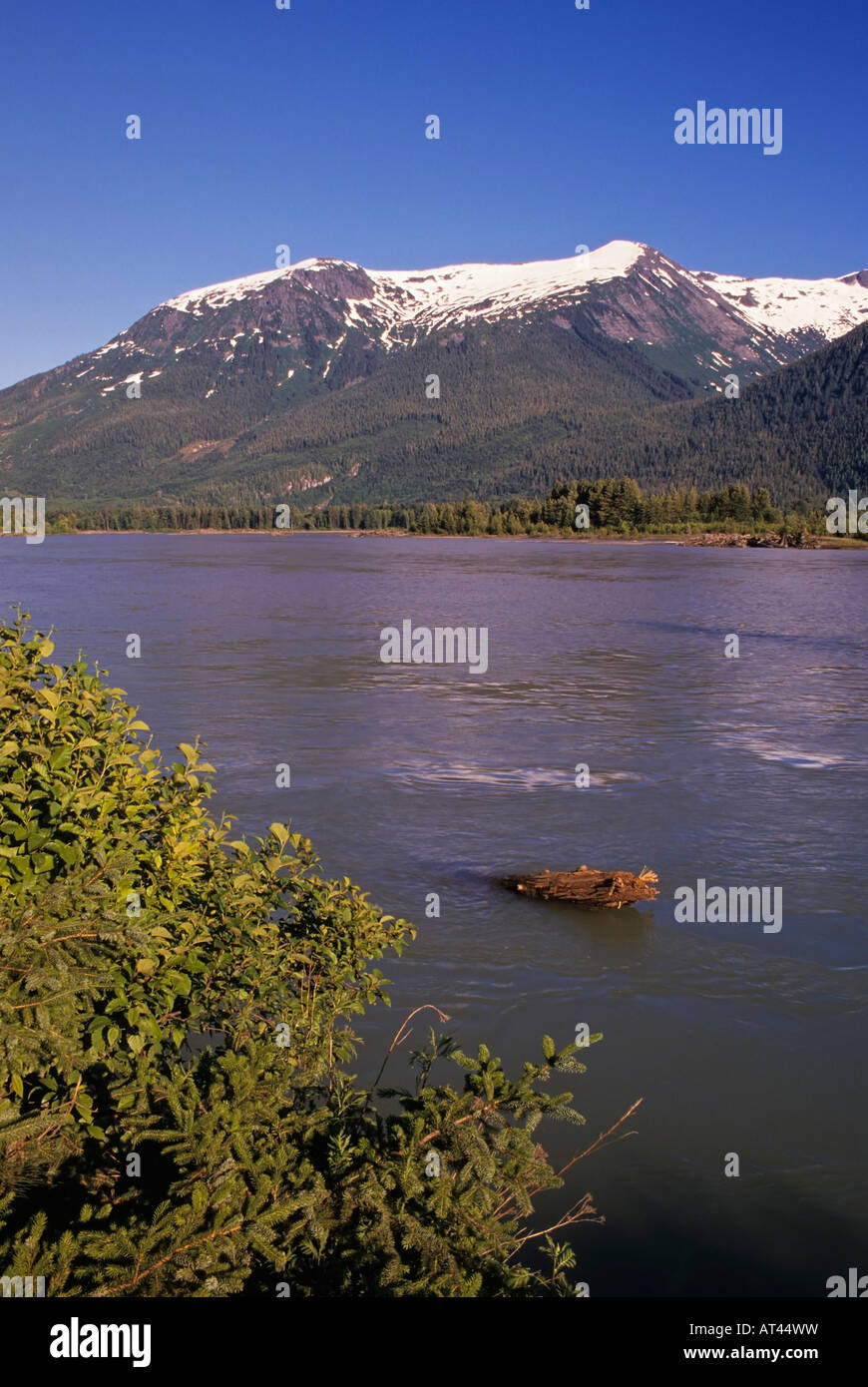 Lower Skeena river between Terrace and Prince Rupert British Columbia ...