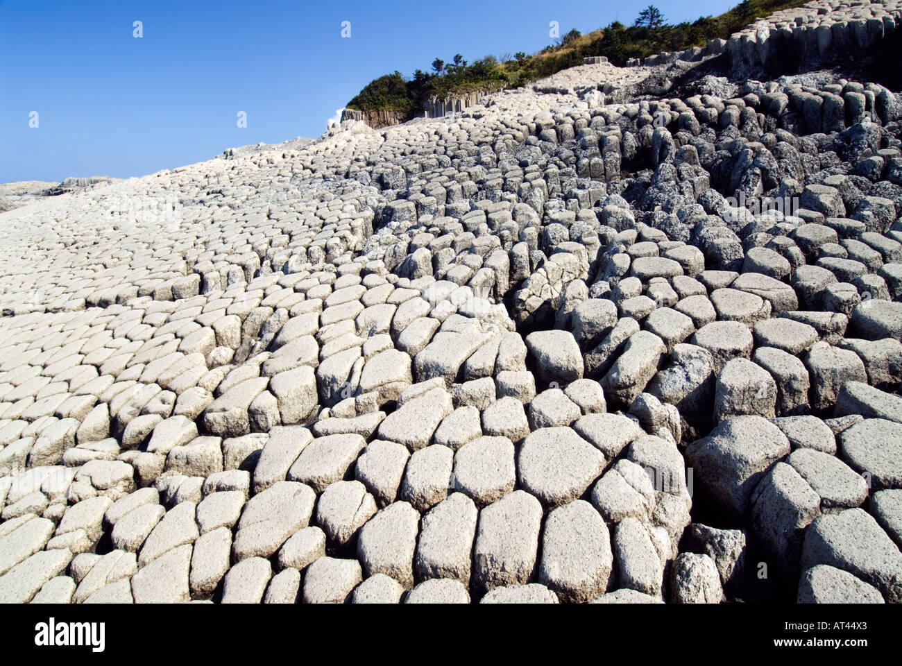 Volcanic rock formations at Stolbchaty Cape on Kunashir Island in Kuril ...