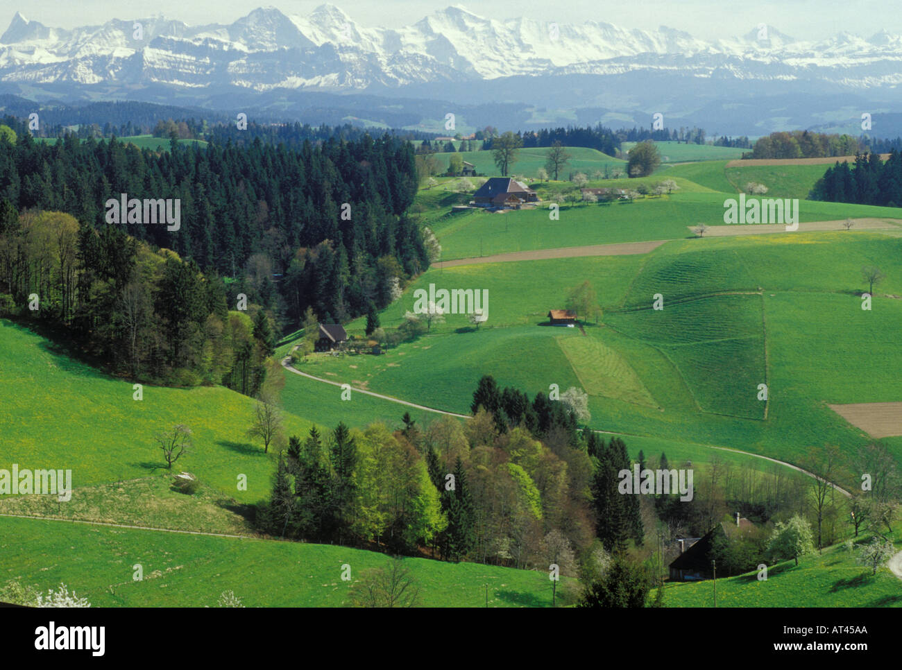 Emmental region hi-res stock photography and images - Alamy