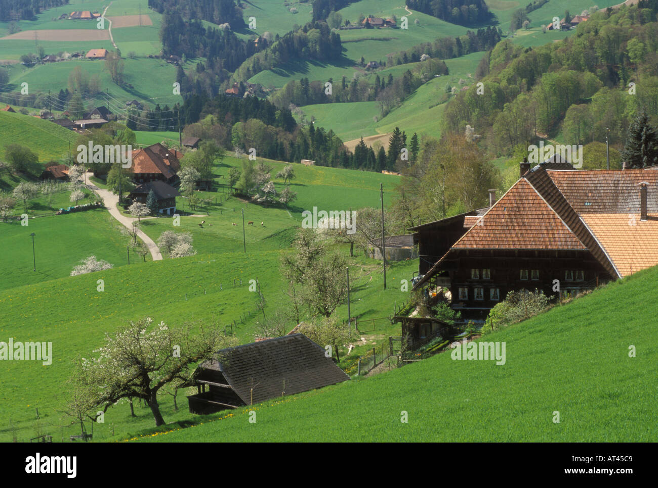 AJ20420, Switzerland, Emmental, Bern, Affoltern, Europe Stock Photo - Alamy