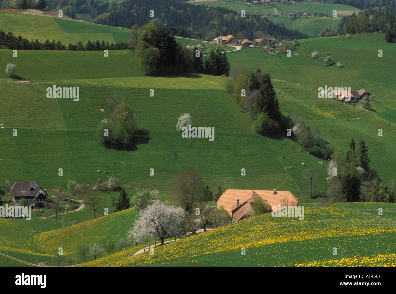 Emmental valley berne switzerland hi-res stock photography and images ...