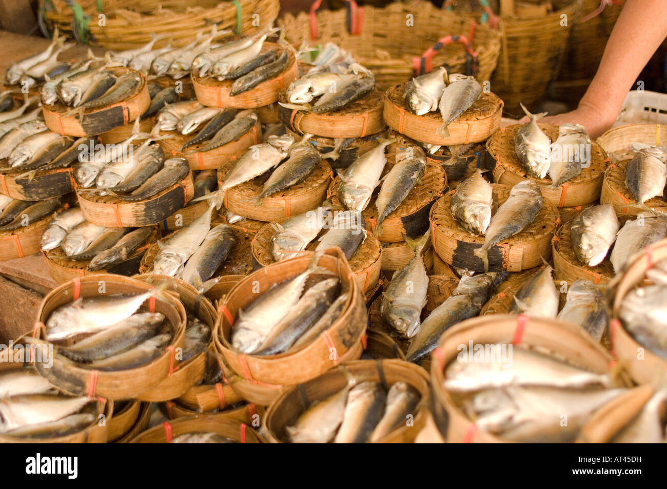 Fresh fish in bamboo trays at a outdoor market Bangkok Thailand Stock ...