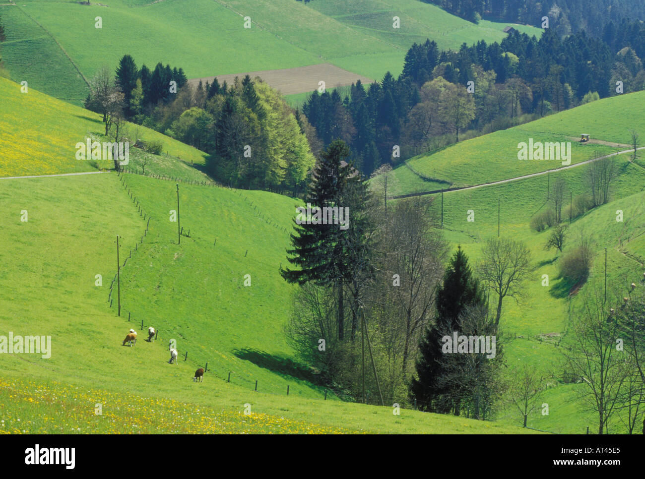 Emmental valley berne switzerland hi-res stock photography and images ...