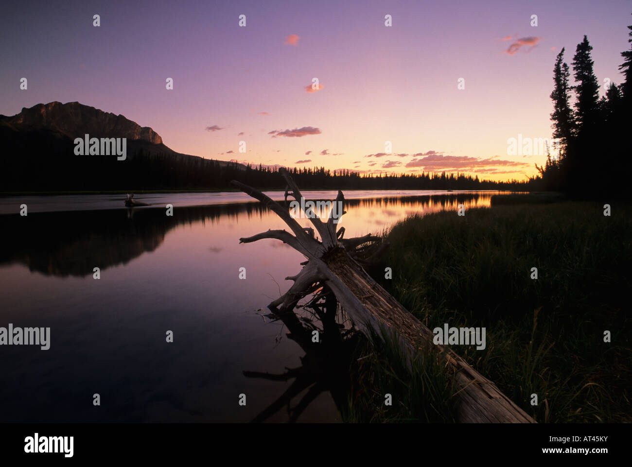 The Bow river in Bow Valley Provincial Park near Canmore Alberta Stock ...