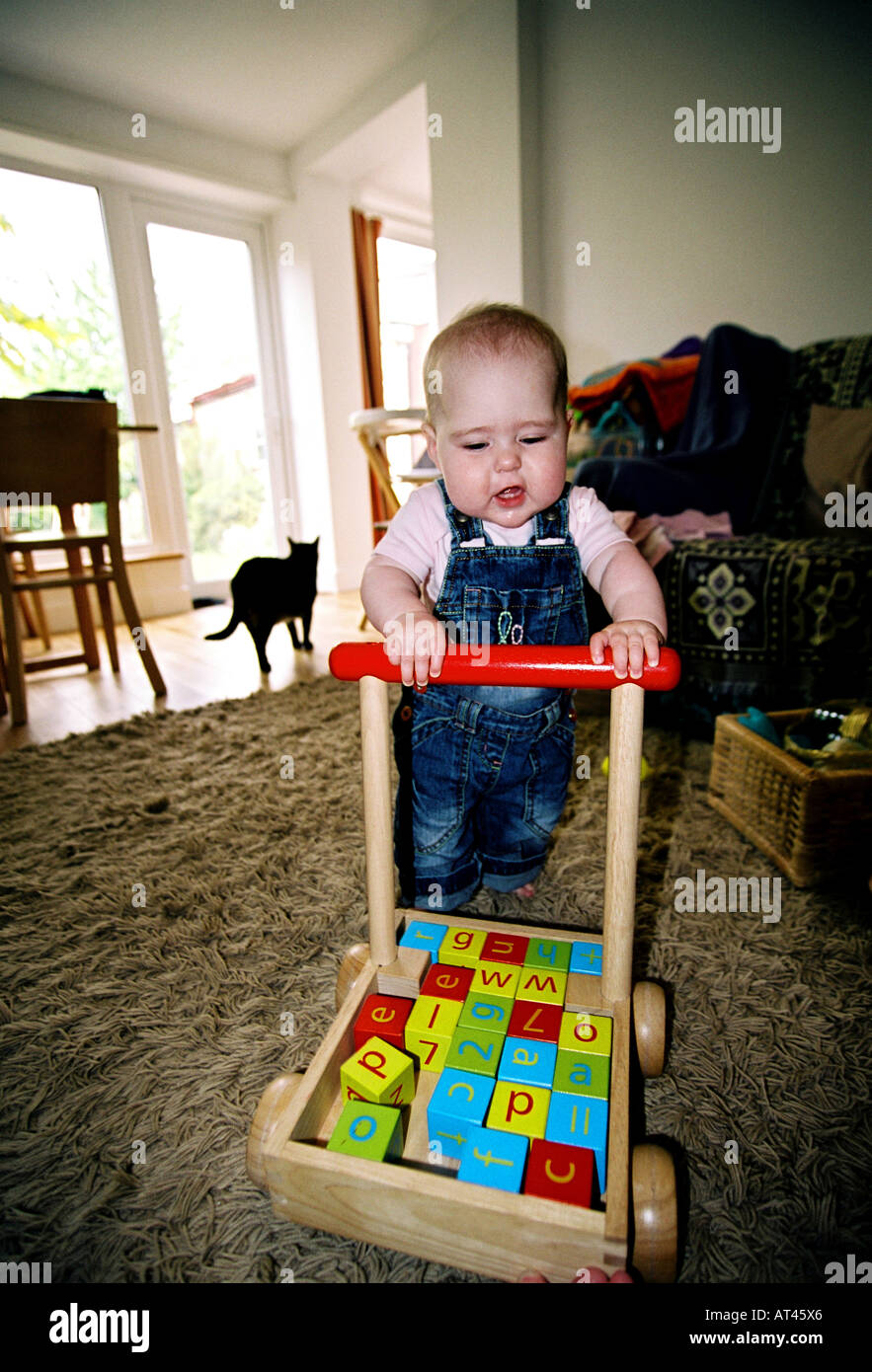 Infant learning to walk with a baby walker Stock Photo - Alamy