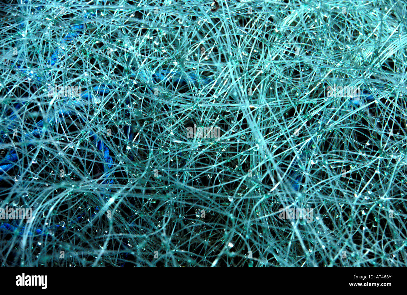 Plastic in fishing net hi-res stock photography and images - Alamy