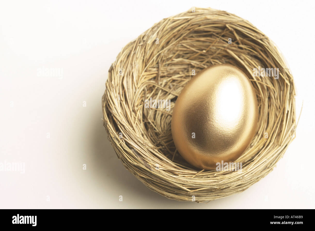 Oval nests hi-res stock photography and images - Alamy