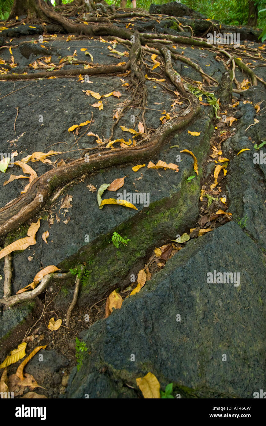Mauga western samoa hi-res stock photography and images - Alamy