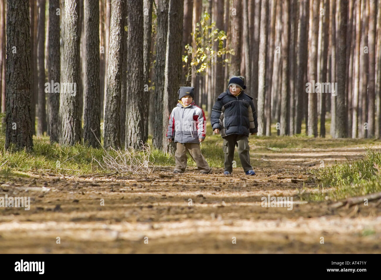 play in the forest Stock Photo - Alamy