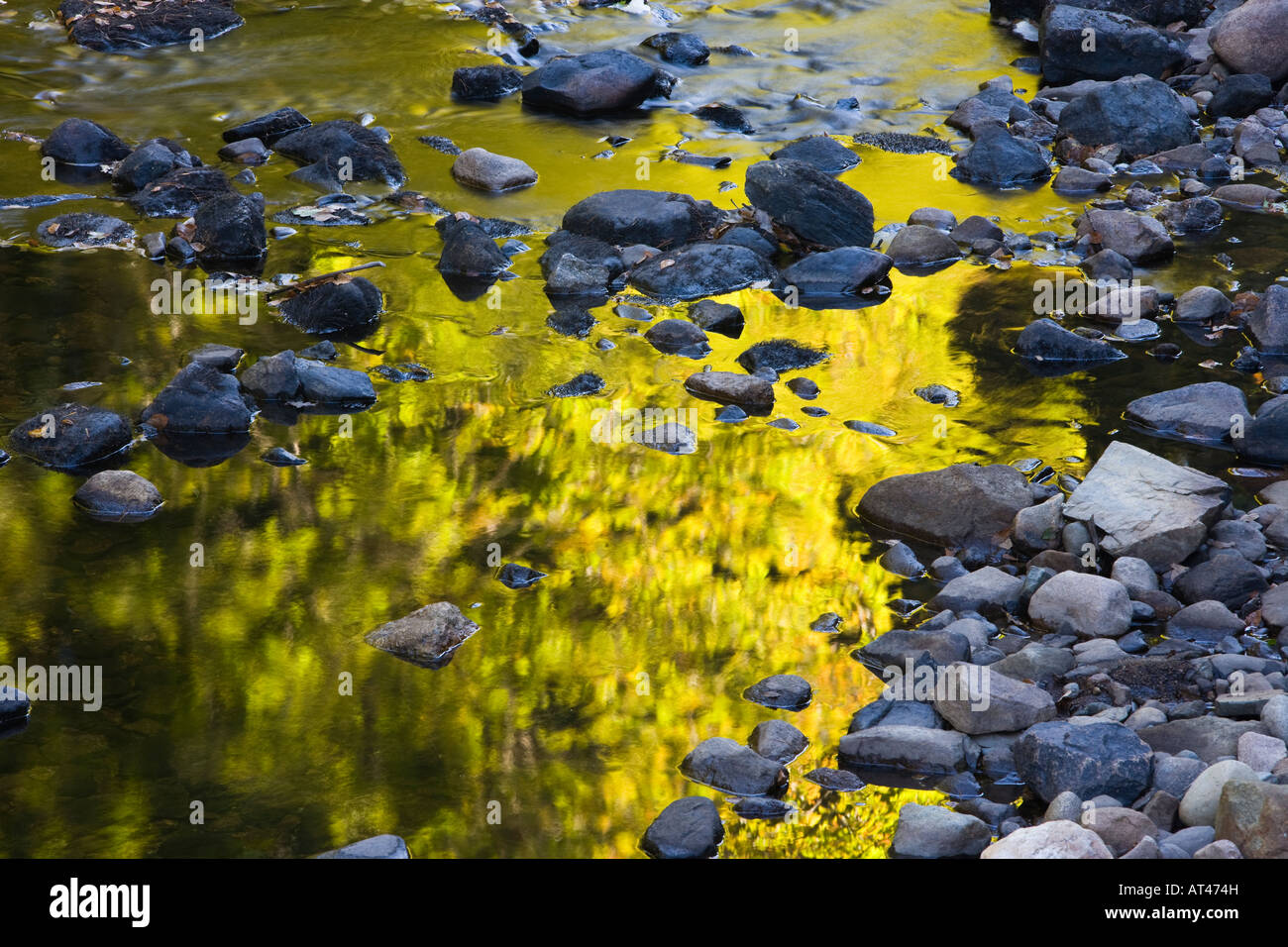 Tree reflections in the Isinglass River in Barrington, New Hampshire ...