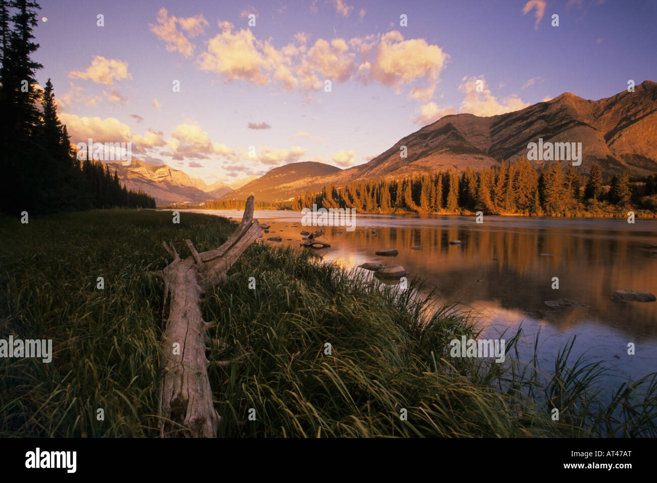 The Bow river in Bow Valley Provincial Park near Canmore Alberta Stock ...