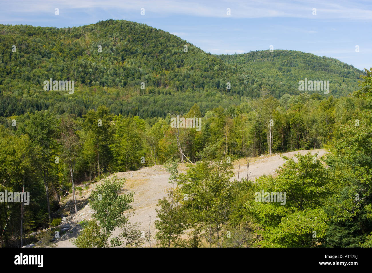 A dirt road on the Washburn Property in Clarksville, New Hampshire ...