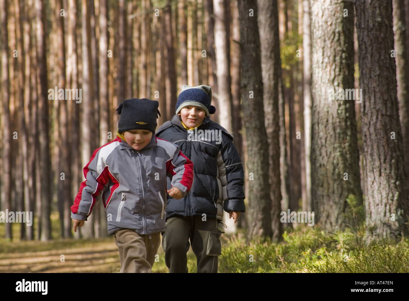 play in the forest Stock Photo - Alamy