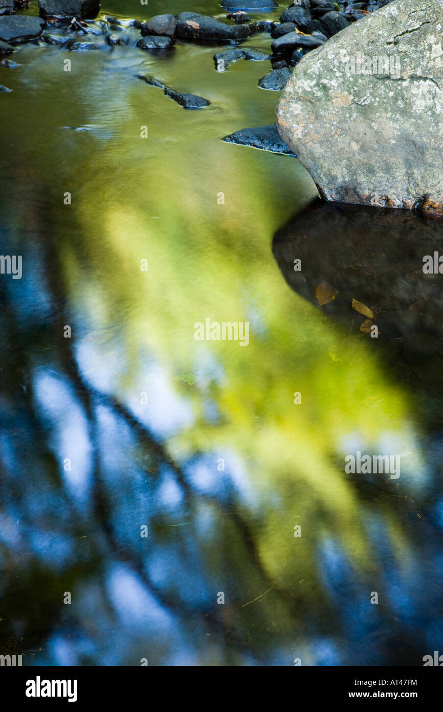 Tree reflections in the Isinglass River in Strafford, New Hampshire Stock Photo - Alamy
