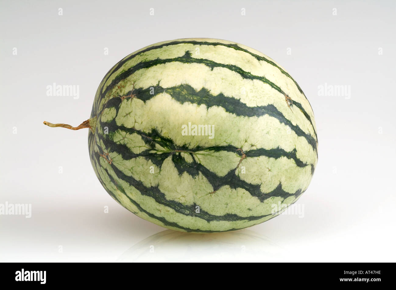 Baby water melon hi-res stock photography and images - Alamy