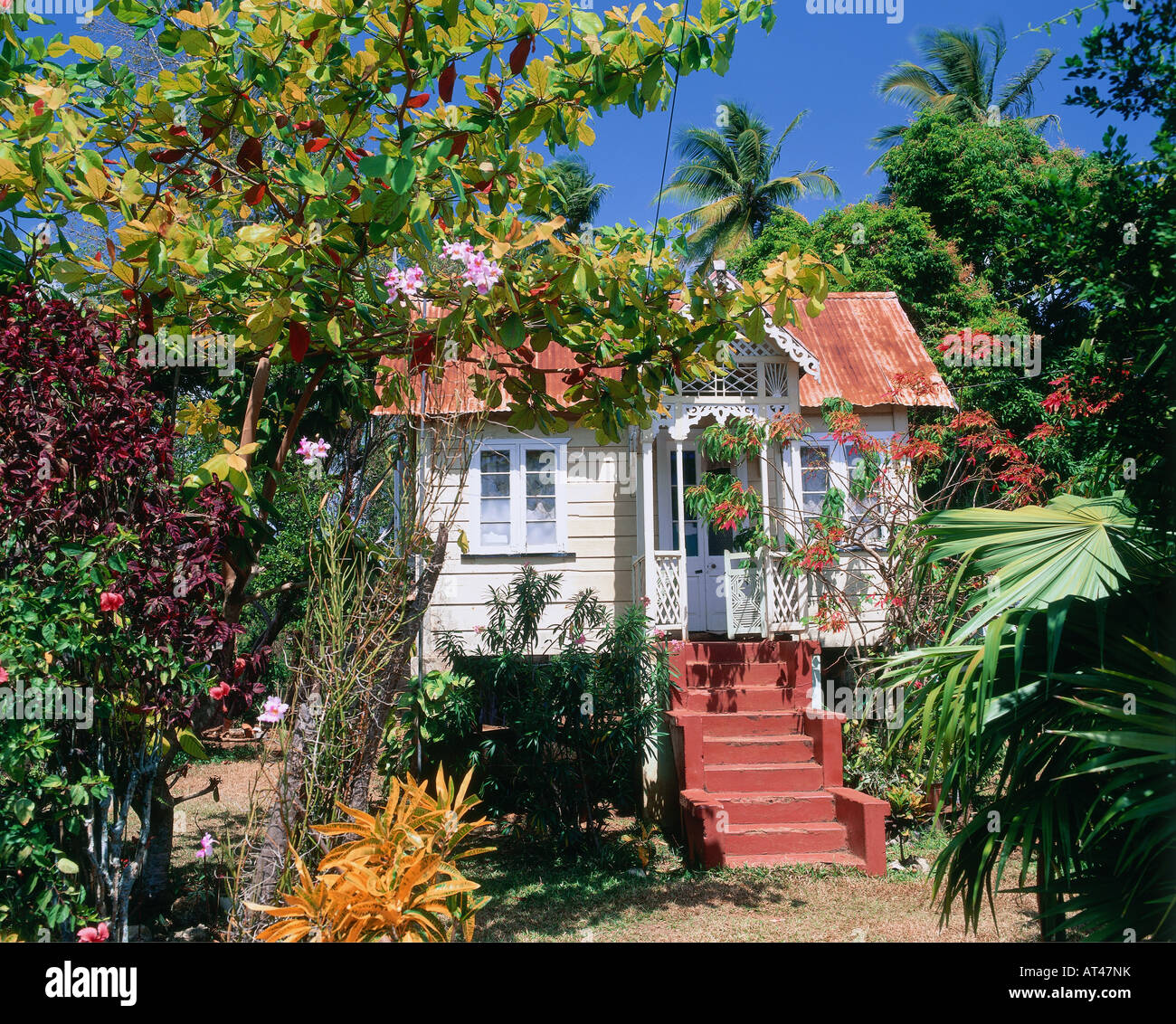 geography / travel, Tobago, building, architecture, typical residential ...