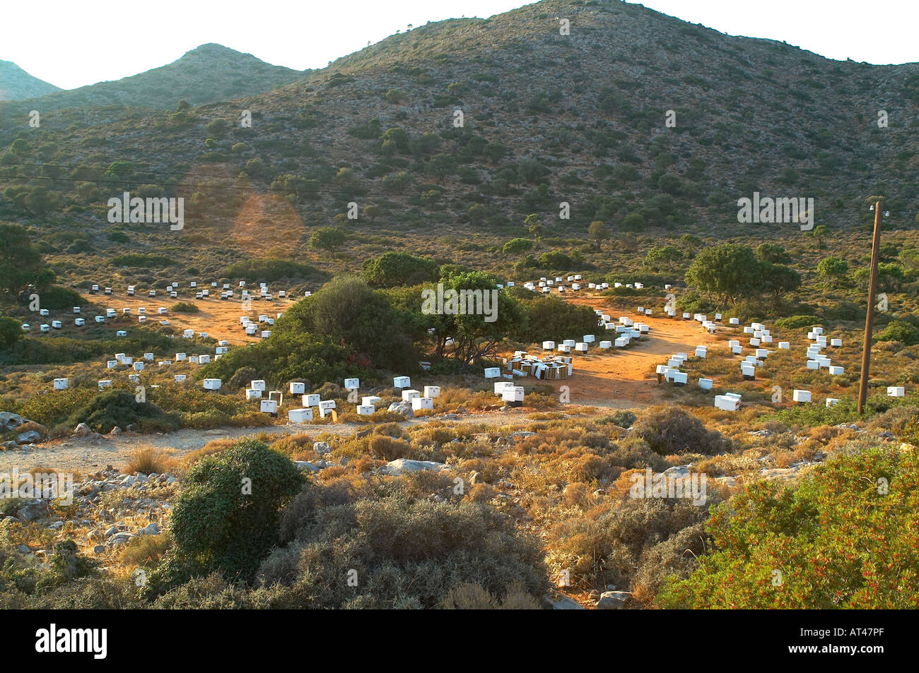 Bee hives on a hill in Crete Stock Photo - Alamy