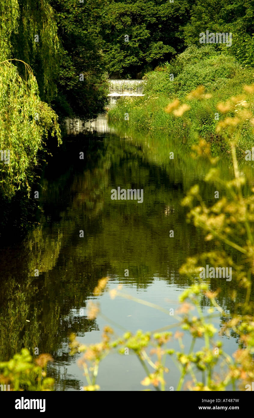 Lush green vegetation and river in the Dodder Park in Dartry South ...