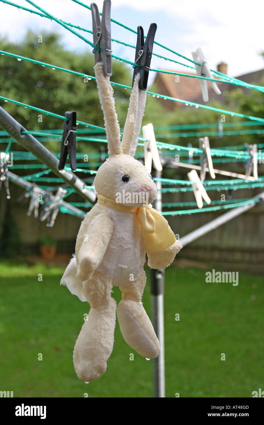 sad rabbit out to dry Stock Photo - Alamy
