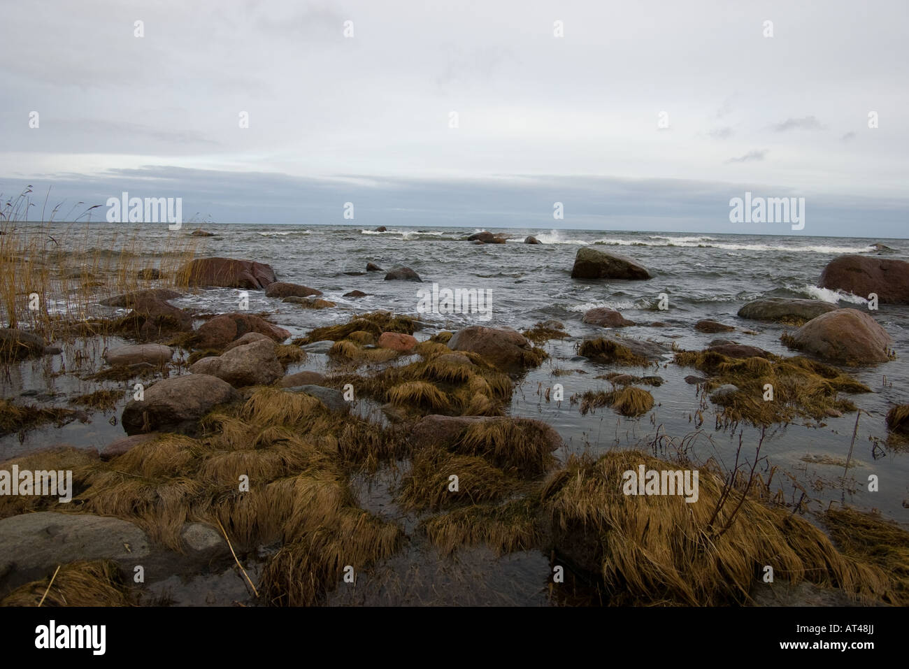 Warm shallow sea hi-res stock photography and images - Alamy