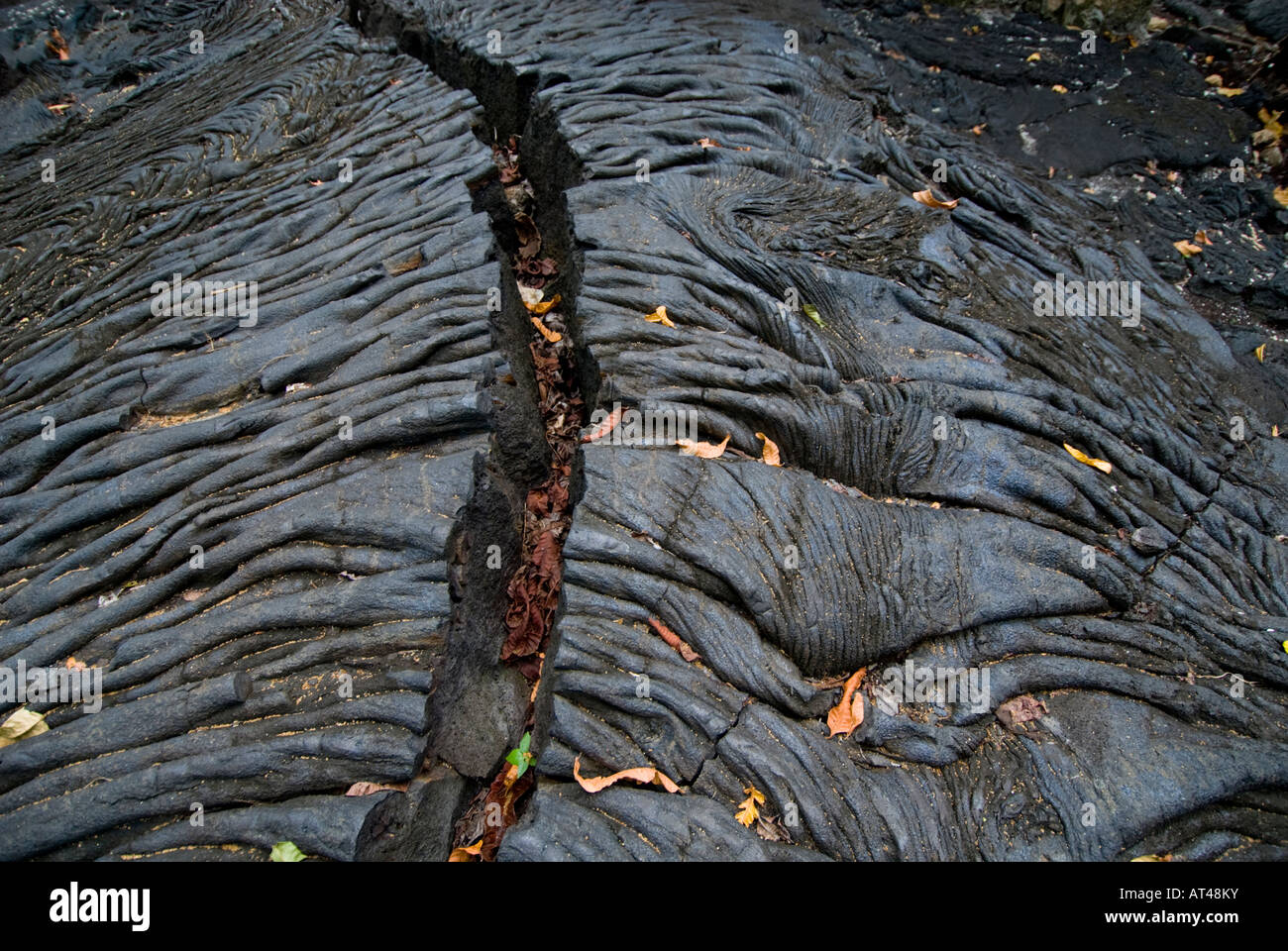 Lavafield of Saleaula MAUGA SAMOA Lava Field Savaii Western Samoa ...