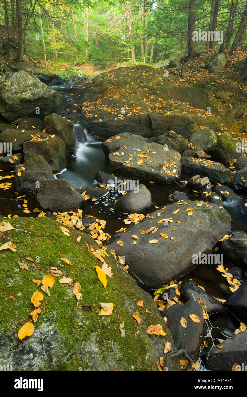 Early fall on the Isinglass River in Strafford, New Hampshire Stock Photo - Alamy