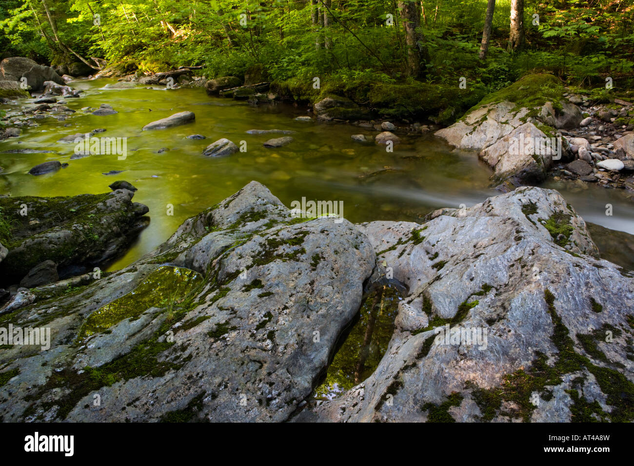 Wild Brook in Vermont's Green Mountains. Eden, Vermont Stock Photo - Alamy