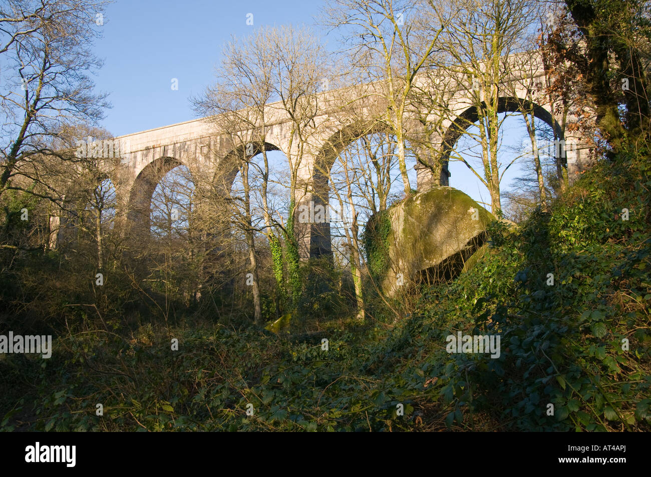 Cornwall treffry viaduct hi-res stock photography and images - Alamy