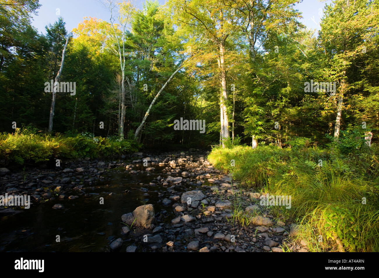 Early fall on the Isinglass River in Strafford, New Hampshire Stock ...