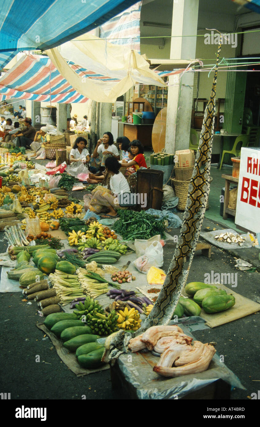 Python spec hi-res stock photography and images - Alamy