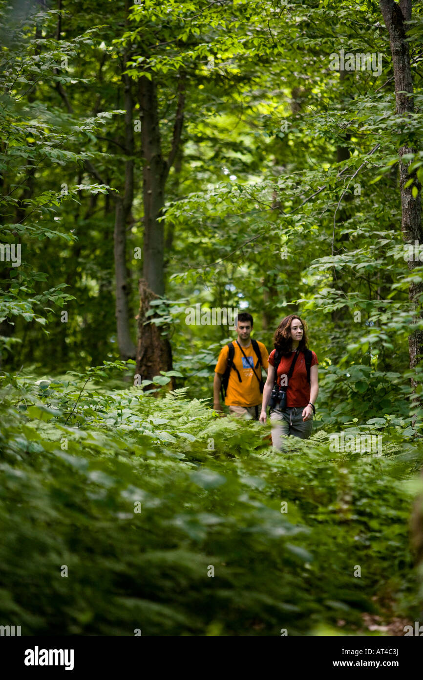 Hiking on the Long Trail in Vermont's Green Mountains. Eden, Vermont ...