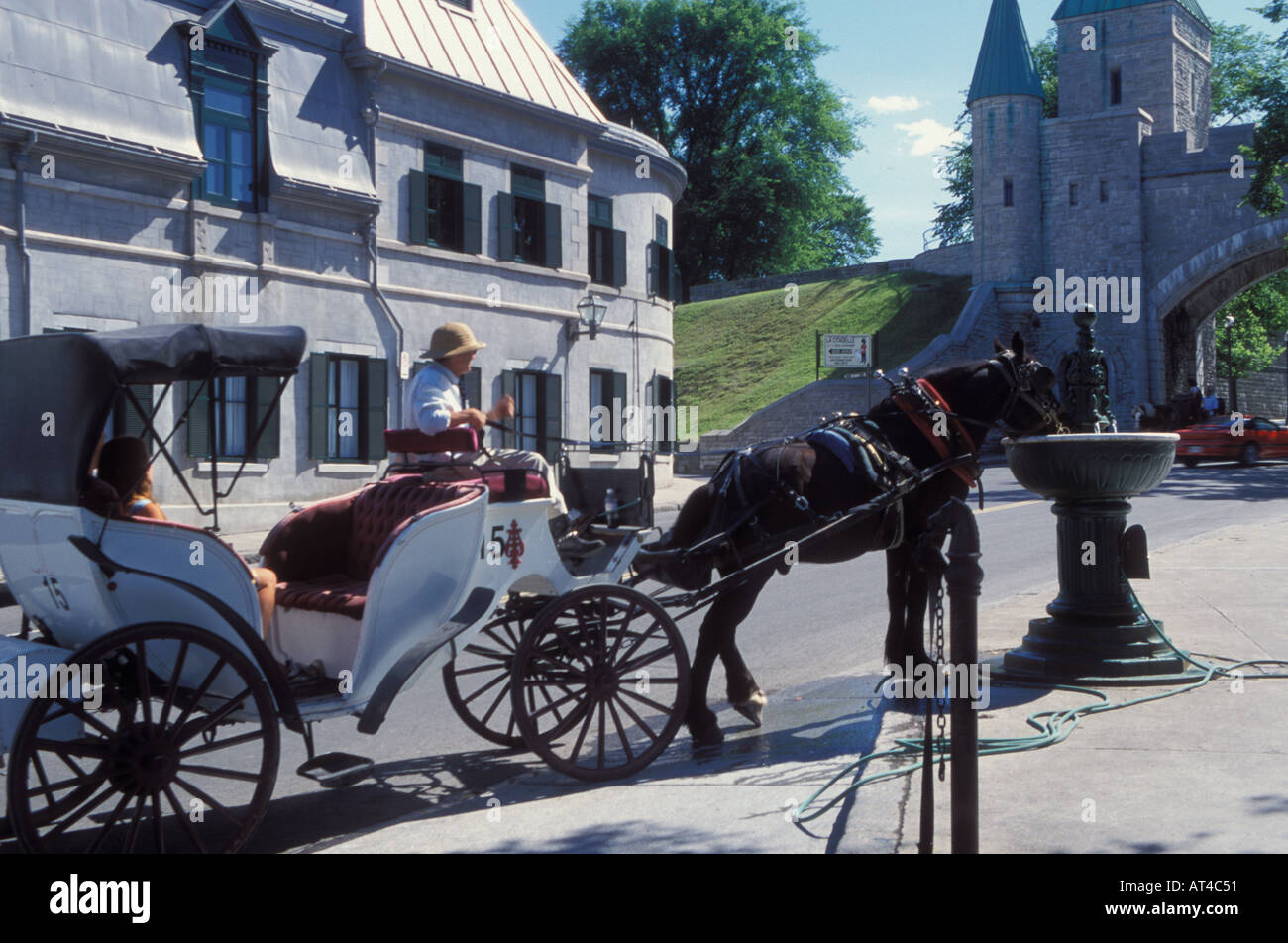 A horse drawn water carriage hi-res stock photography and images - Alamy