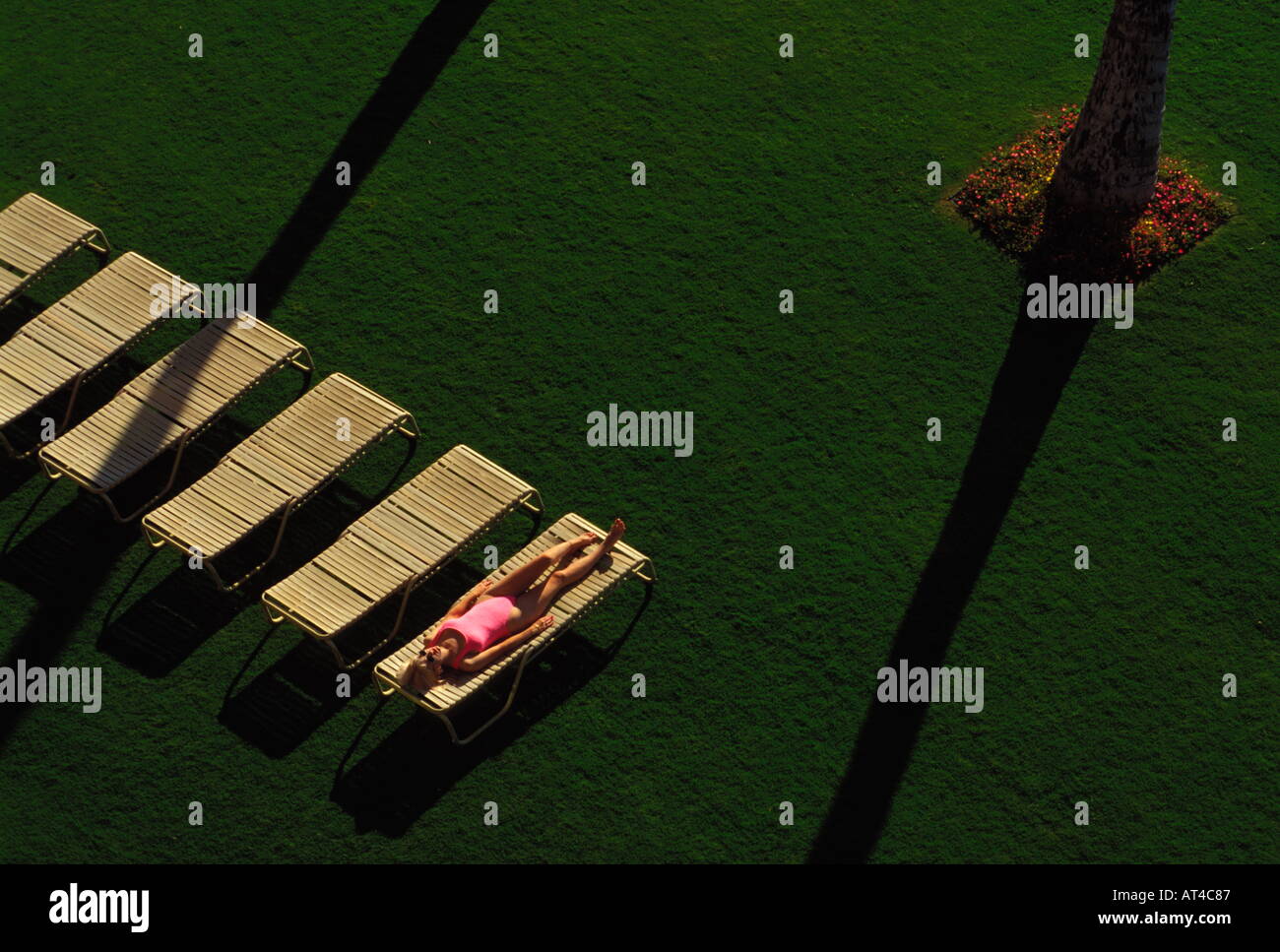 Sunbathing on an Immaculate Lawn Stock Photo - Alamy