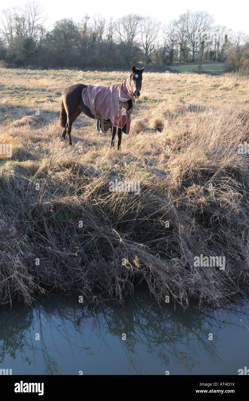 Typical english countryside hi-res stock photography and images - Alamy