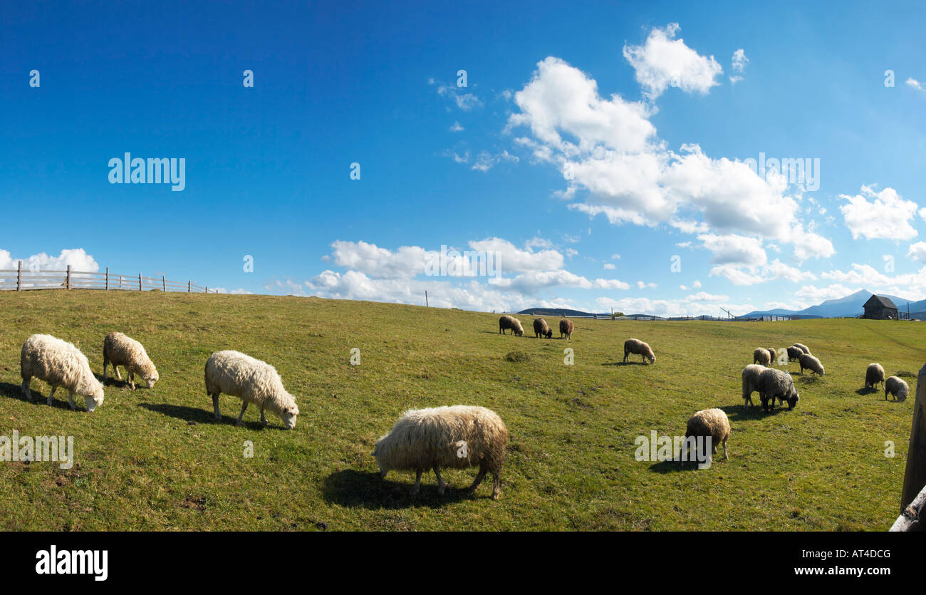 Carpathian mountains three shots hi-res stock photography and images ...