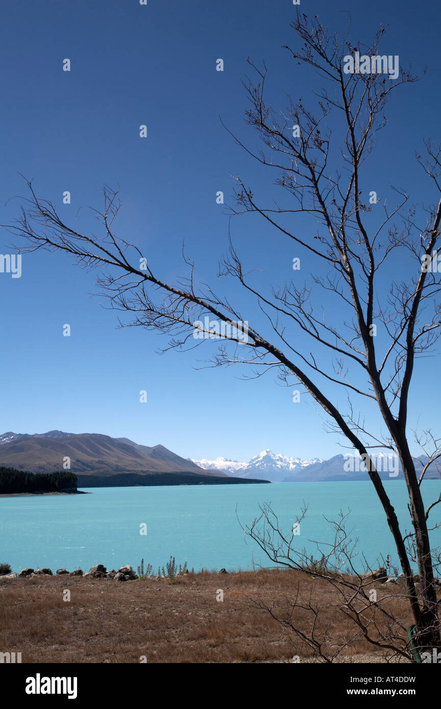 Turquoise blue colour of the majestic Lake Pukaki with Aoraki/Mount ...