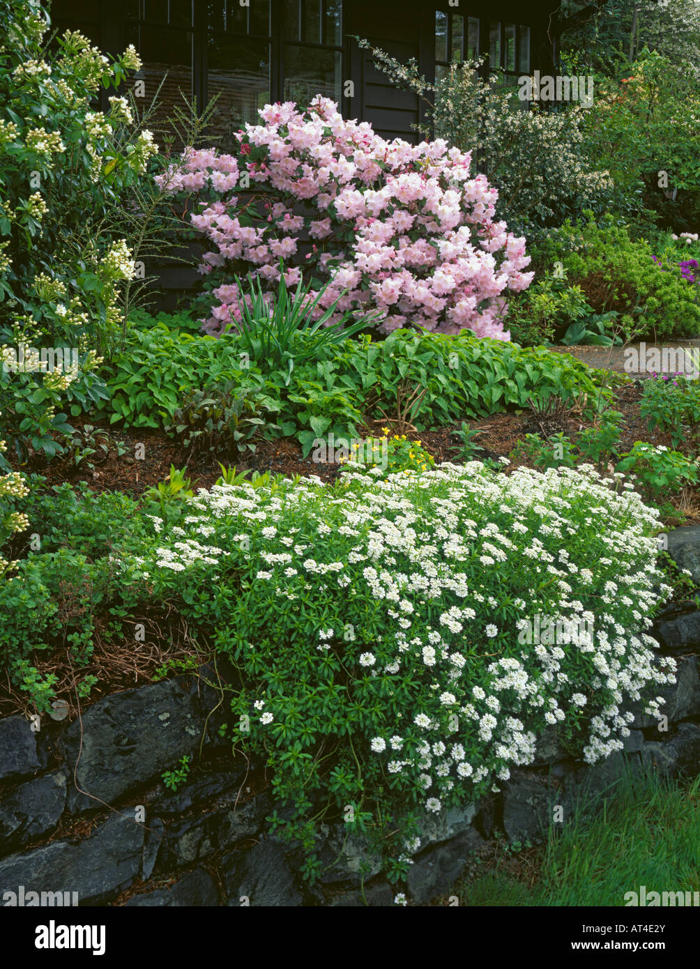 Over The Garden Wall High Resolution Stock Photography and Images - Alamy