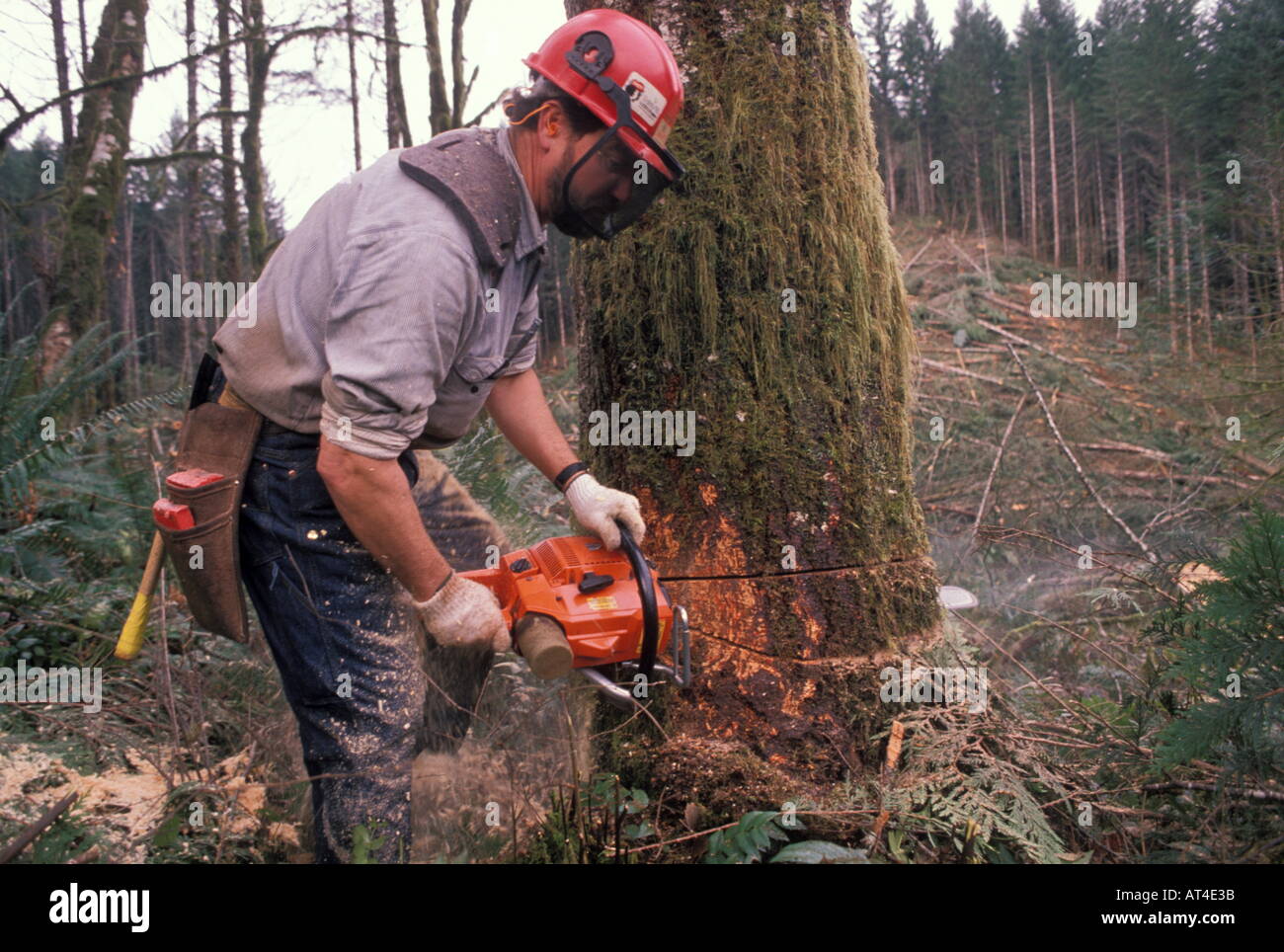 Logging men hi-res stock photography and images - Alamy