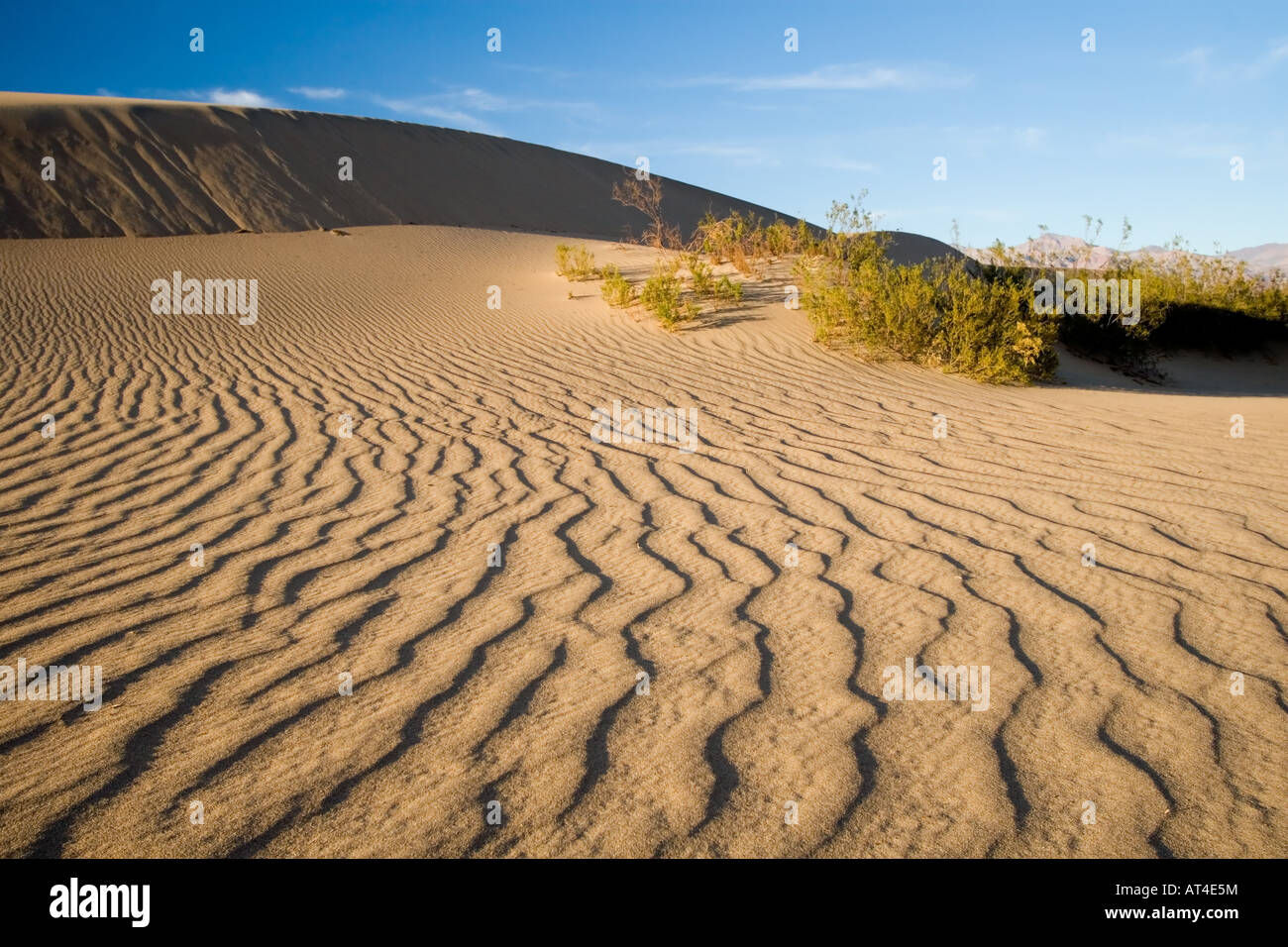 Texture and shadow on the desert sand dunes Stock Photo - Alamy