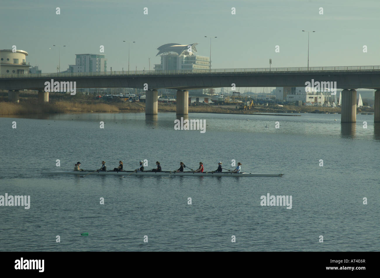 Coxed rowing hi-res stock photography and images - Alamy