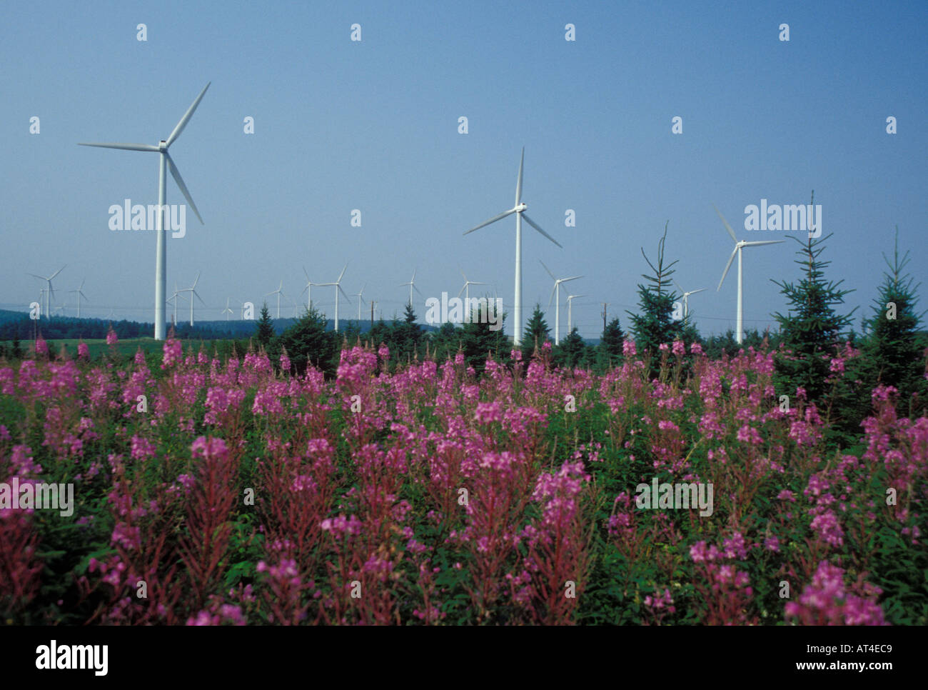 Modern windmill canada hi-res stock photography and images - Alamy