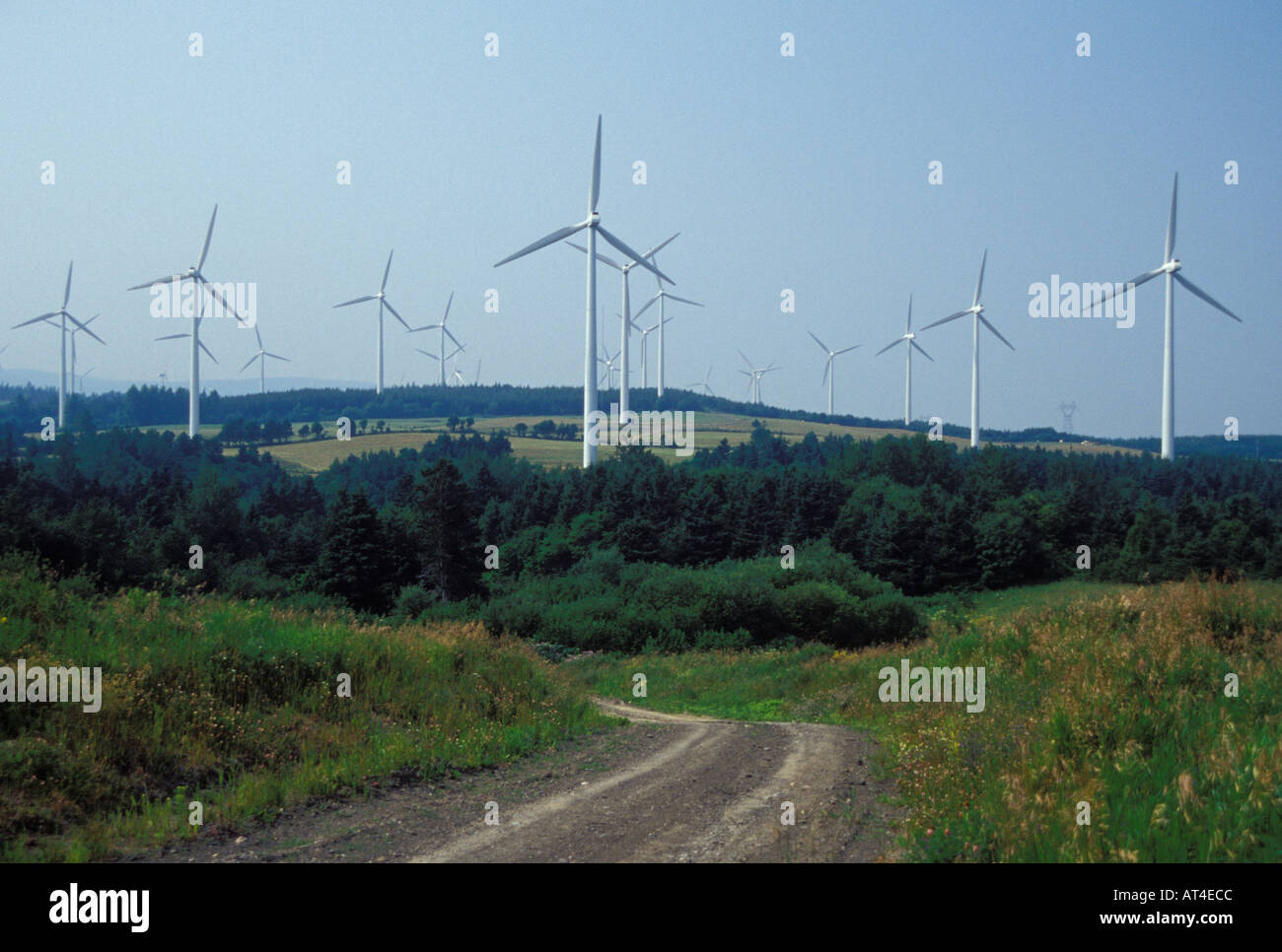AJ20825, Canada, Gaspe Peninsula, Gulf of St. Lawrence, Quebec, Cap ...