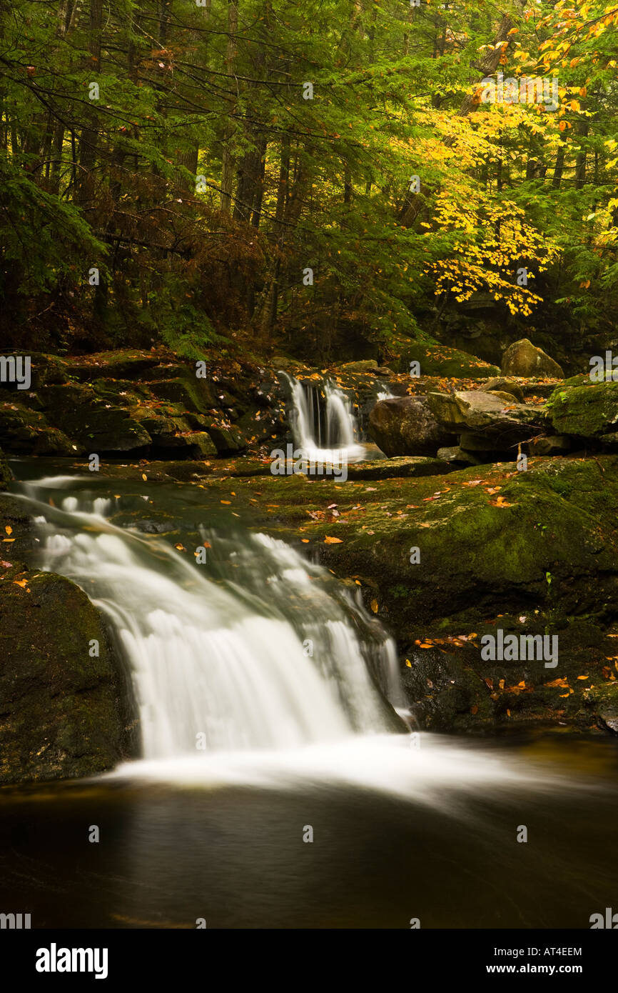 A tributary of the Baker River cascades through a hemlock forest in ...