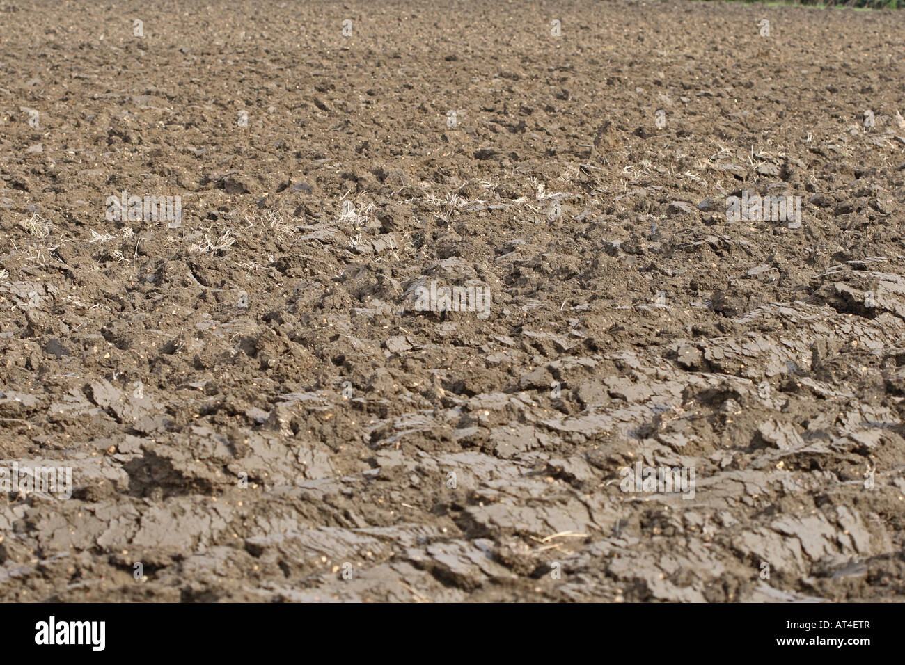PLOUGHED FIELD SHOWING RECENTLY TURNED SOIL Stock Photo - Alamy