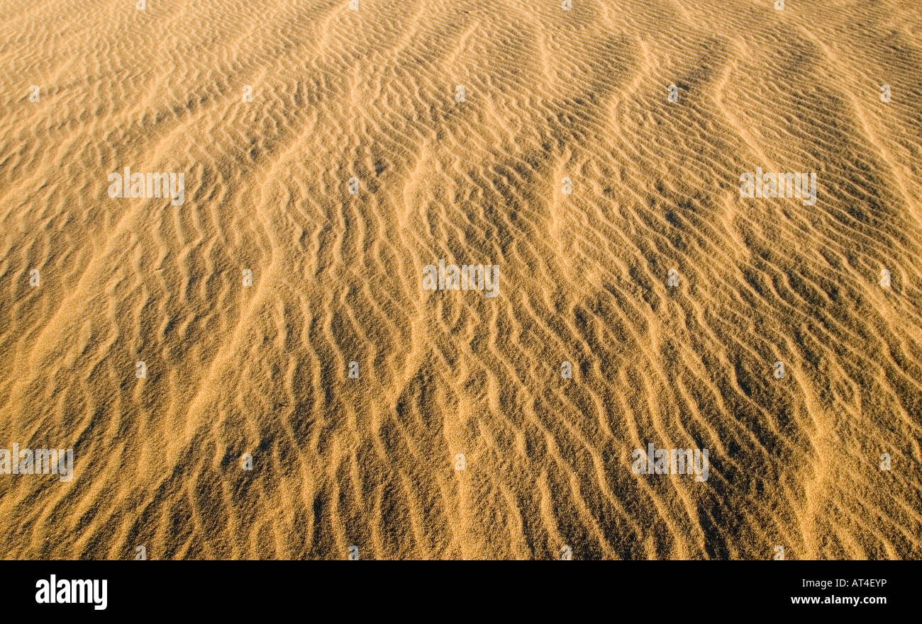 Texture and shadow on the desert sand dunes Stock Photo - Alamy